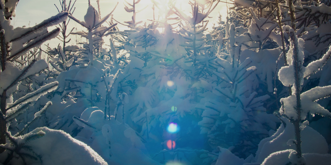 How To Have The Best Christmas Ever | Berwyn UMC | Berwyn UMC